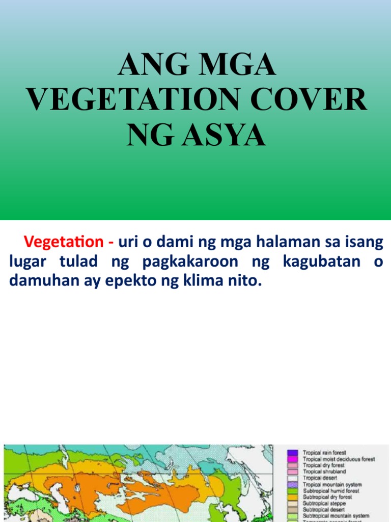 Vegetation Cover | PDF