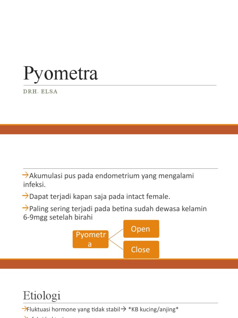 Penanganan Pyometra pada Betina | PDF | Sains & Matematika