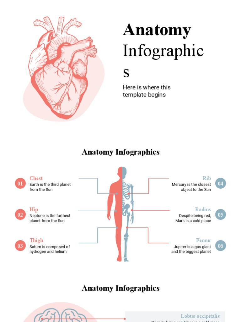 Anatomy Infographics by Slidego | PDF | Planets | Solar System