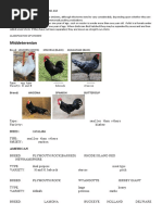Chicken Colour Genetics Basics | PDF | Dominance (Genetics) | Chicken