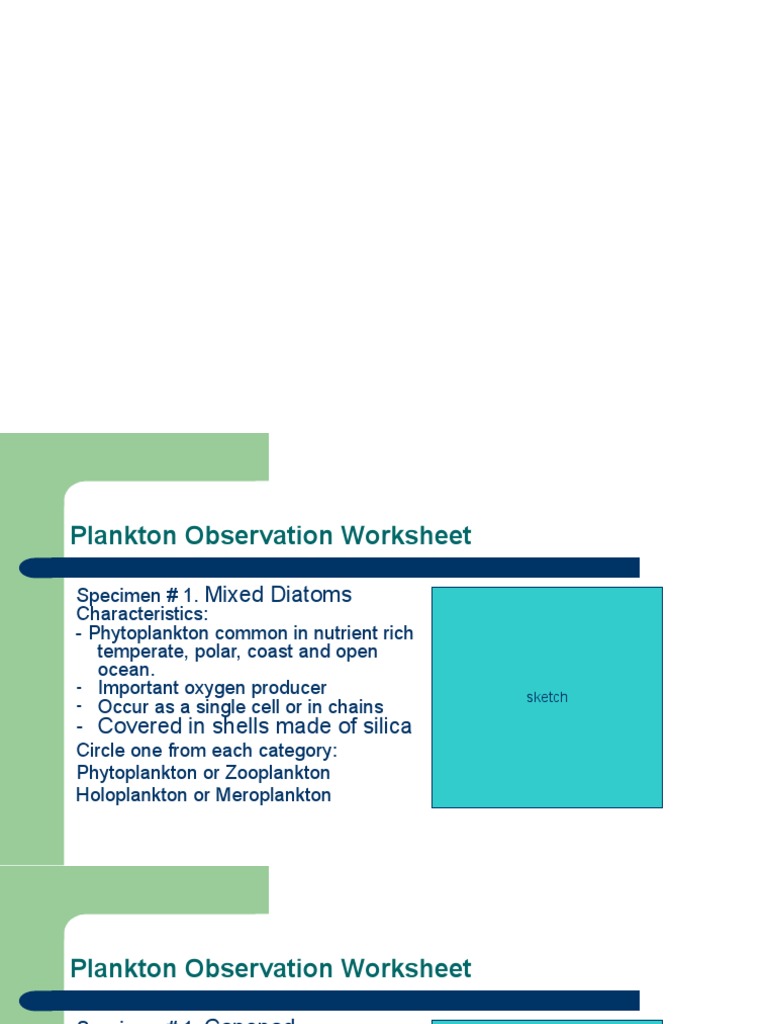 Plankton Observation Worksheet Guide | PDF | Plankton | Phytoplankton