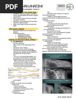 Netter - Atlas of Human Anatomy | PDF | Abdomen | Pelvis