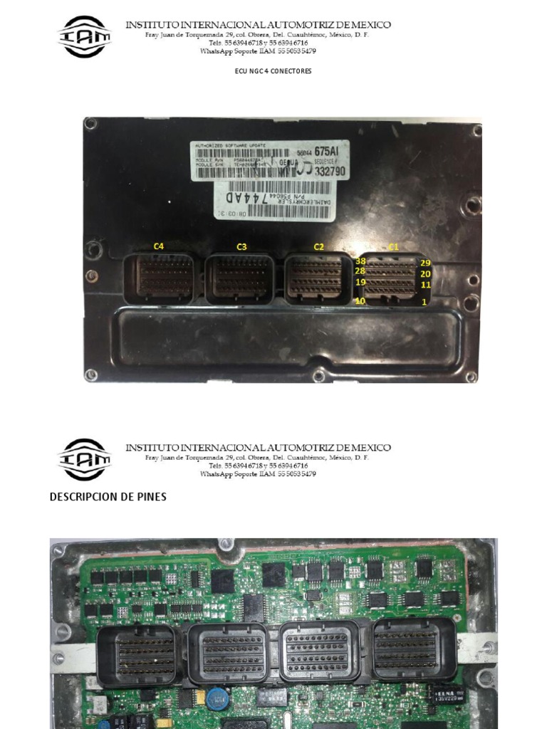 Ecu NGC 4 Conectores | PDF