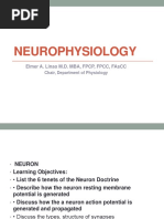 Metaneuron Manual | PDF | Inhibitory Postsynaptic Potential | Membrane ...