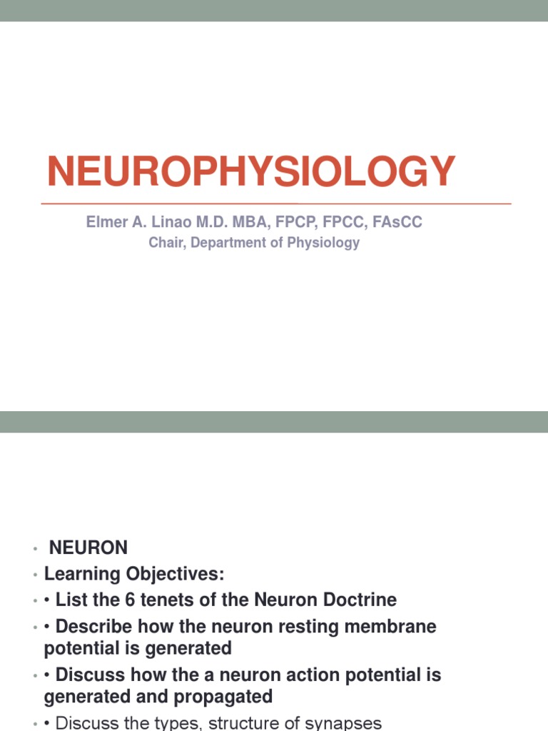 Neurophysiology | PDF | Chemical Synapse | Action Potential