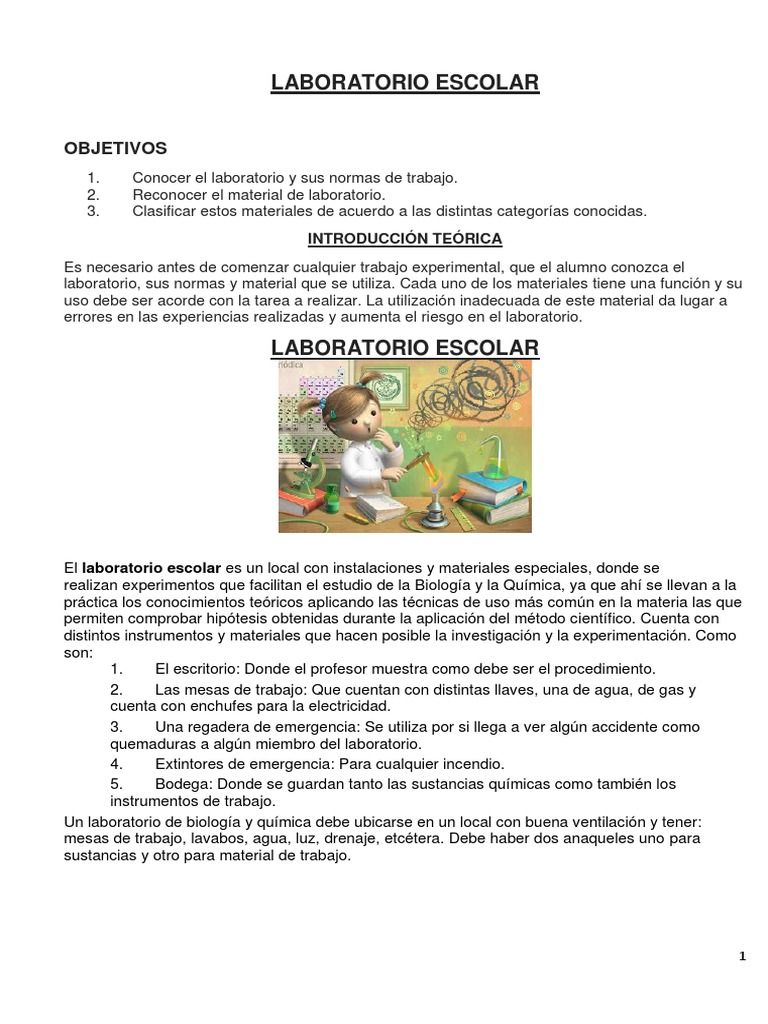 Laboratorio Escolar Laboratorio Escolar | PDF | Laboratorios | Valoración