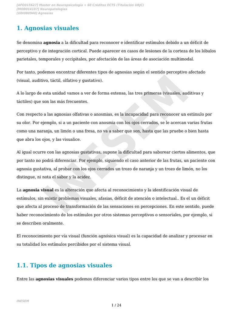 Tipos y Características de Agnosias Visuales | PDF | Dislexia ...