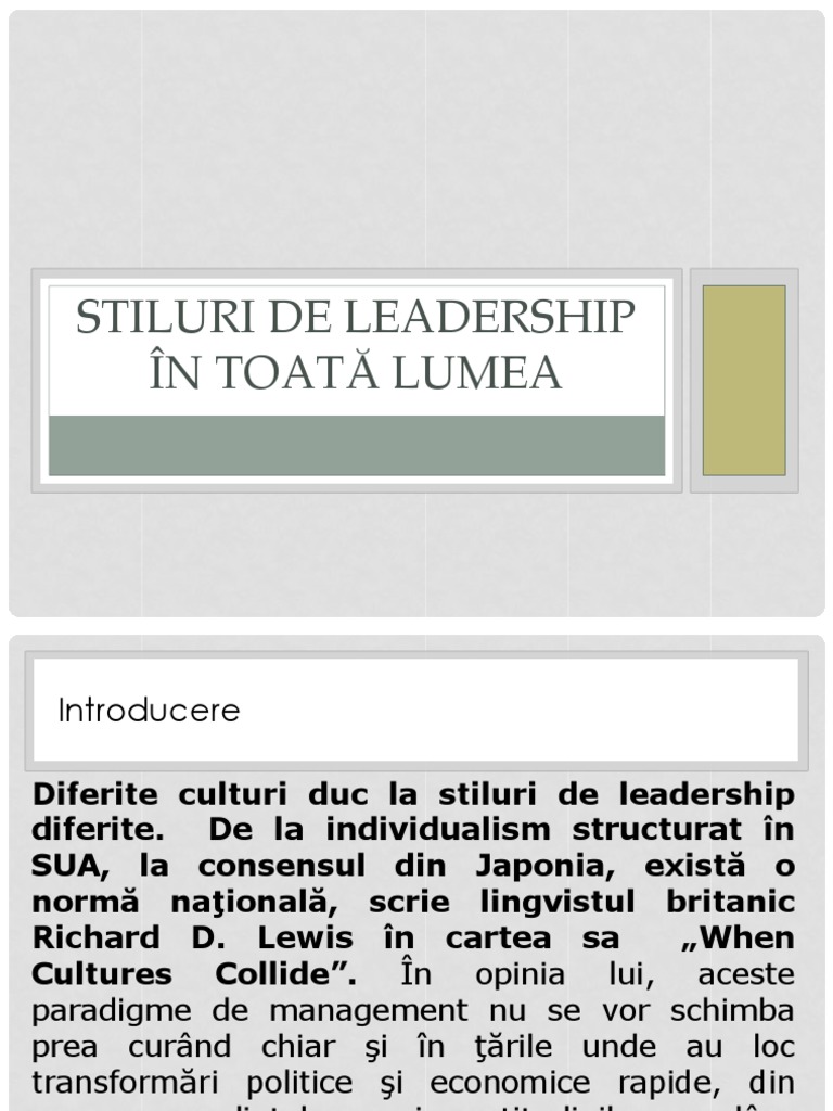 Stiluri de Leadership | PDF