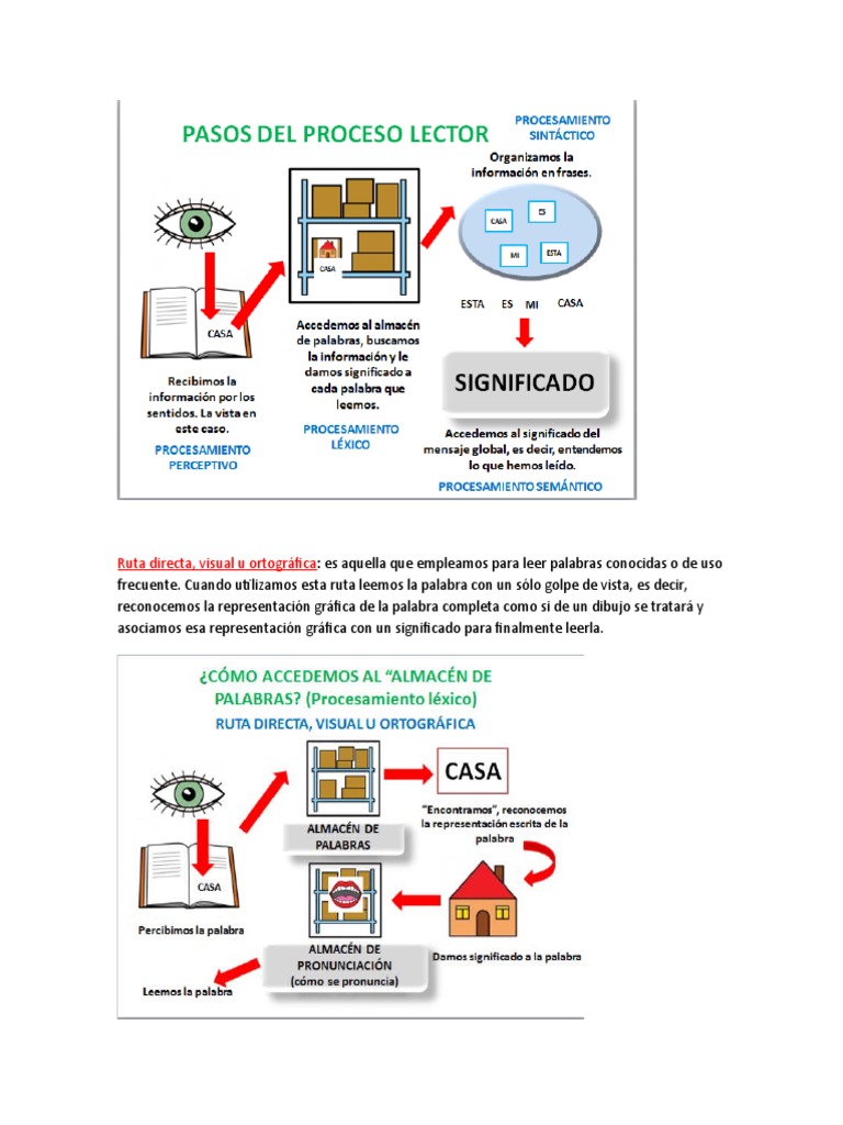 Pasos Del Proceso Lector y Su Fallas | PDF | Palabra | Fonología