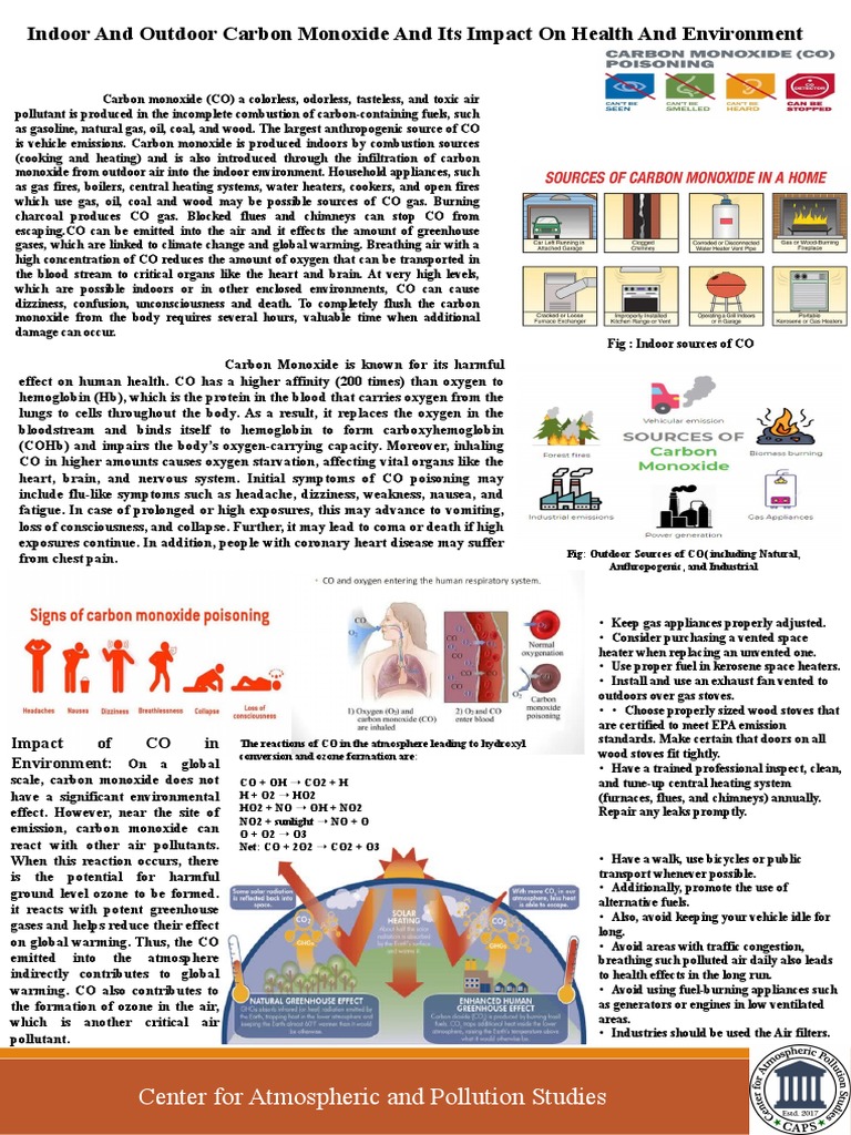 Carbon Monoxide: Health and Environmental Impacts | PDF | Carbon ...