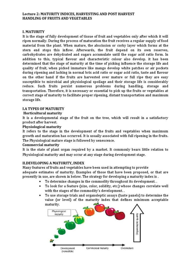 Maturity Indices in Fruits and Vegetables | PDF | Fruit | Vegetables