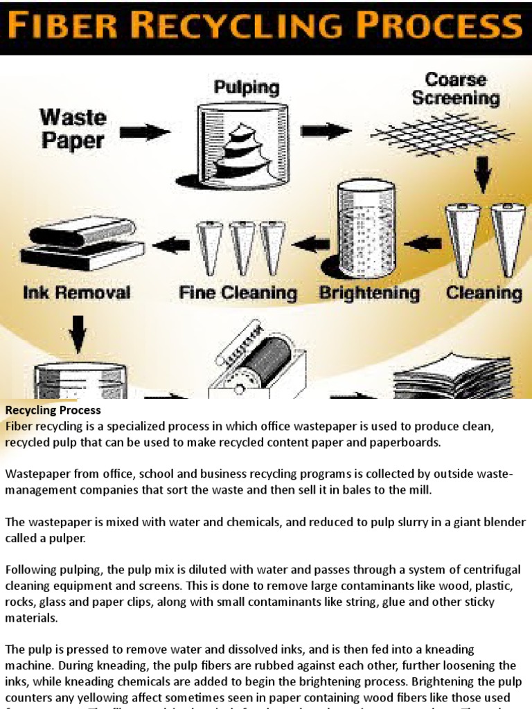 Paper Recycling Process | PDF | Recycling | Waste Management