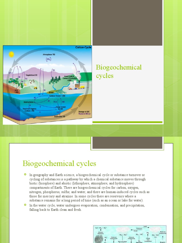 Biogeochemical Cycle | PDF | Biology | Nature