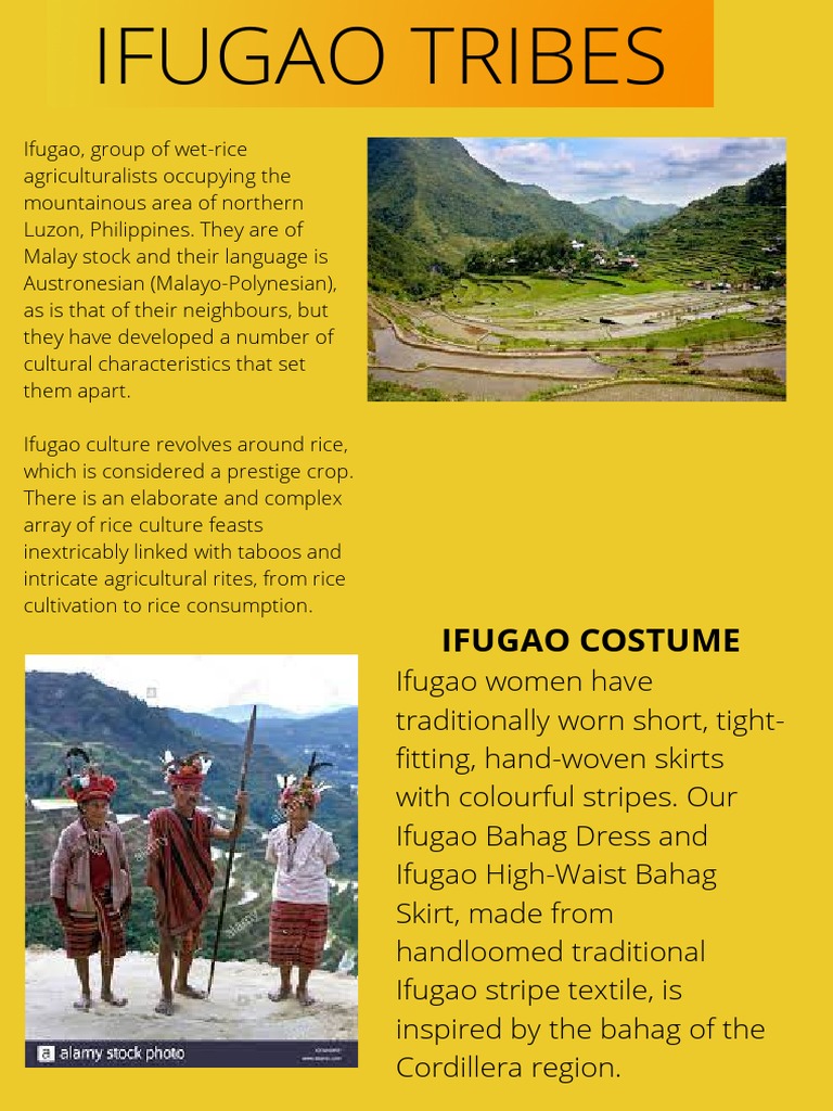 Ifugao Tribes | PDF | Rice | Foods