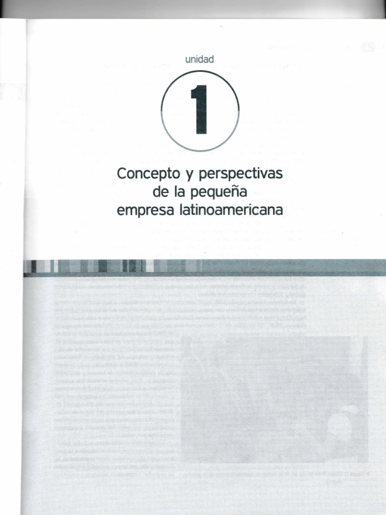 Capitulo Del 1 A 6 Empresas 1 | PDF | Pequeñas y medianas empresas | Iniciativa empresarial