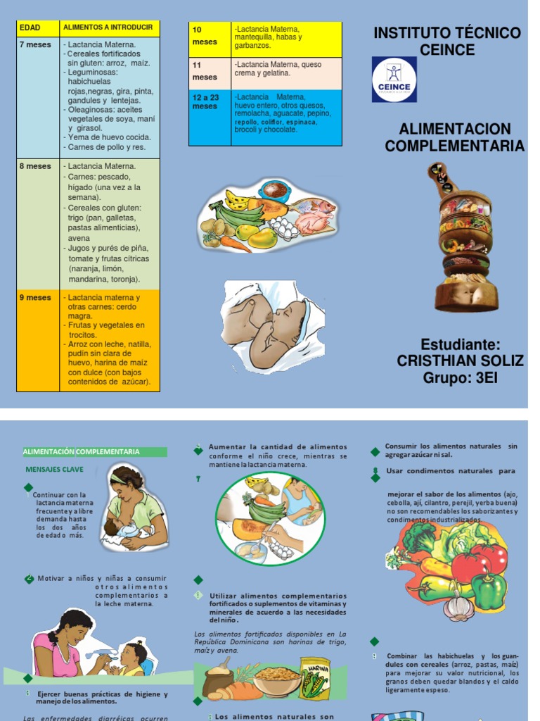 Guía de Alimentación Infantil | PDF | Alimentos | Cereales