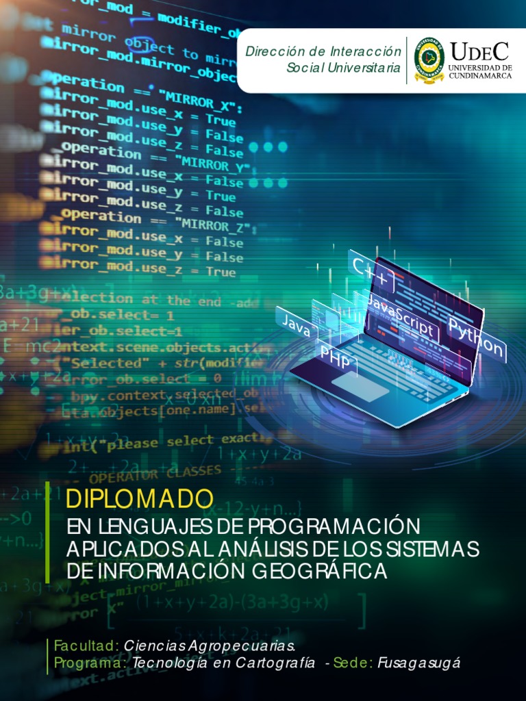 Diplomado en Lenguajes de Programacion Aplicados Al Analisis de Los Sistemas de Informacion ...