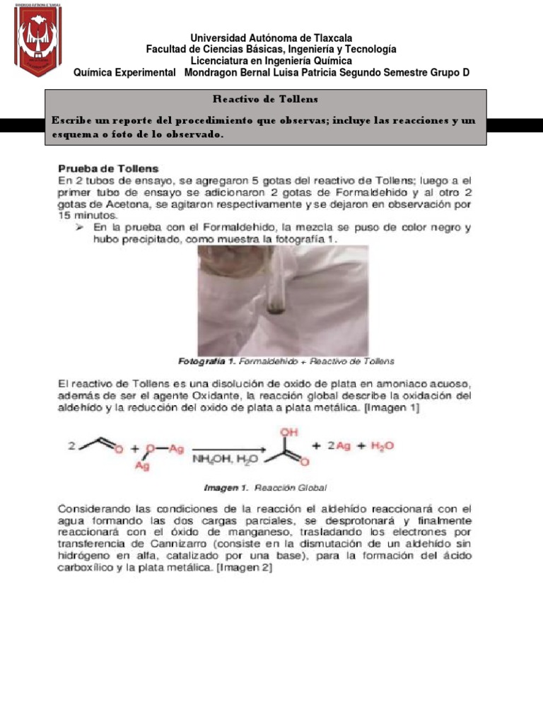 Reactivo De Tollens 20208198 Pdf