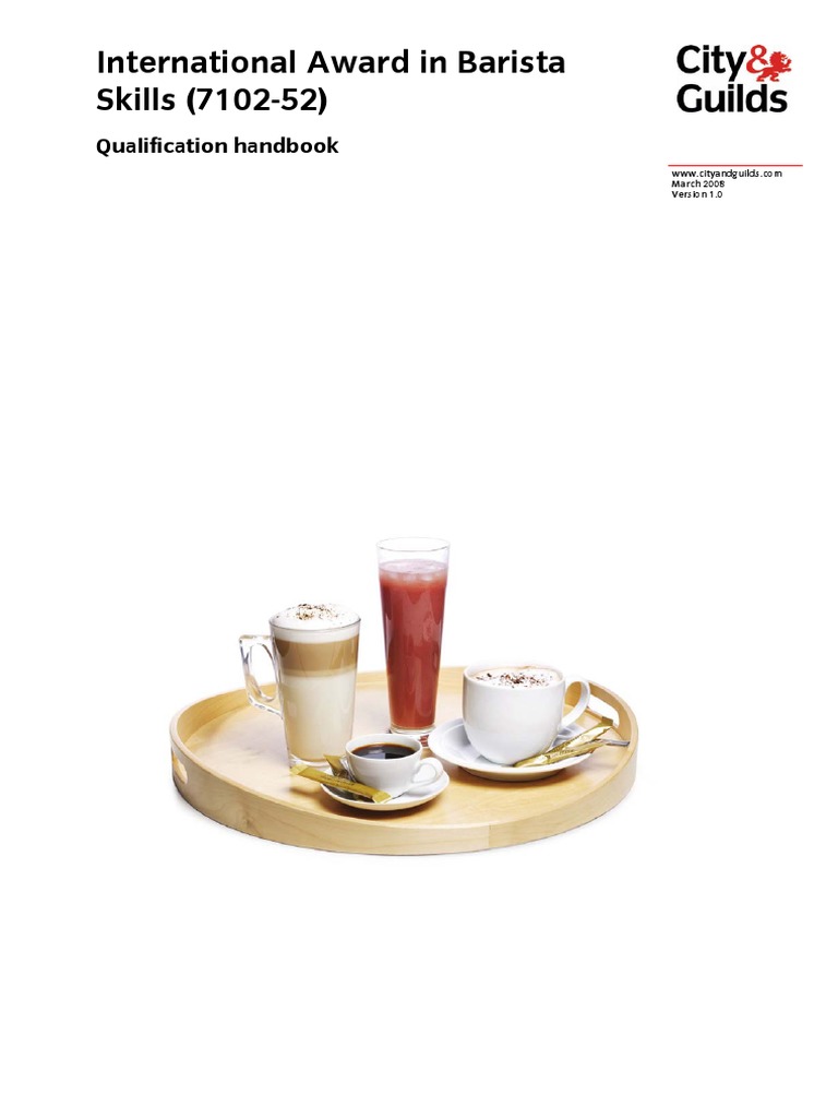 7102-52 Qualification Handbook v1-PDF - Ashx | PDF | Diploma ...