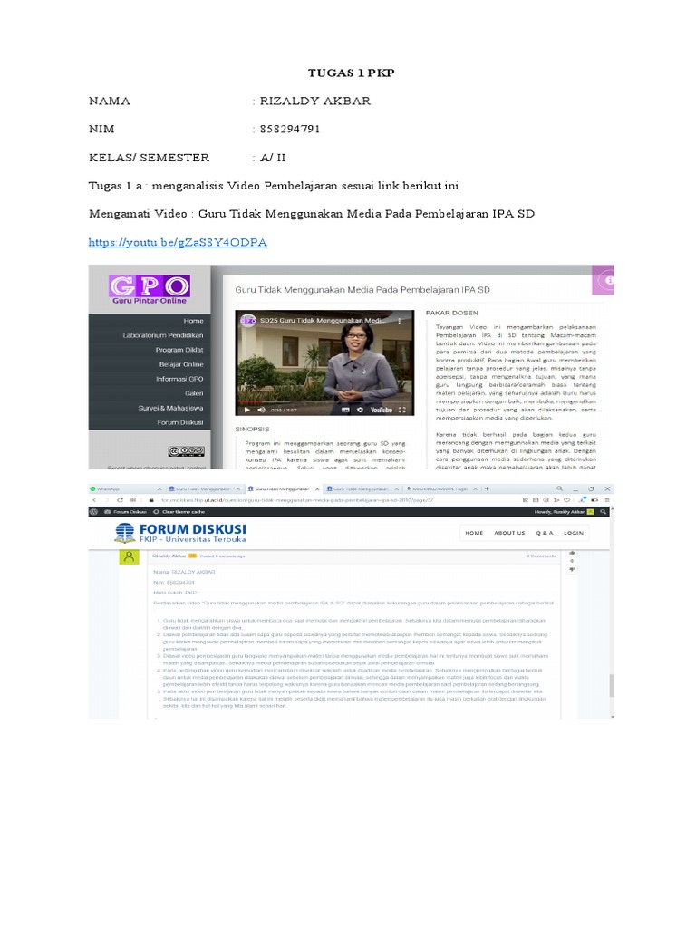 Tugas 1 PKP | PDF | Karier & Perkembangan