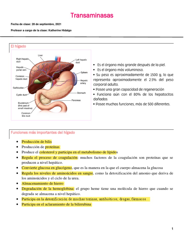 Tema 12. Transaminasas | PDF | Transaminasa | Metabolismo