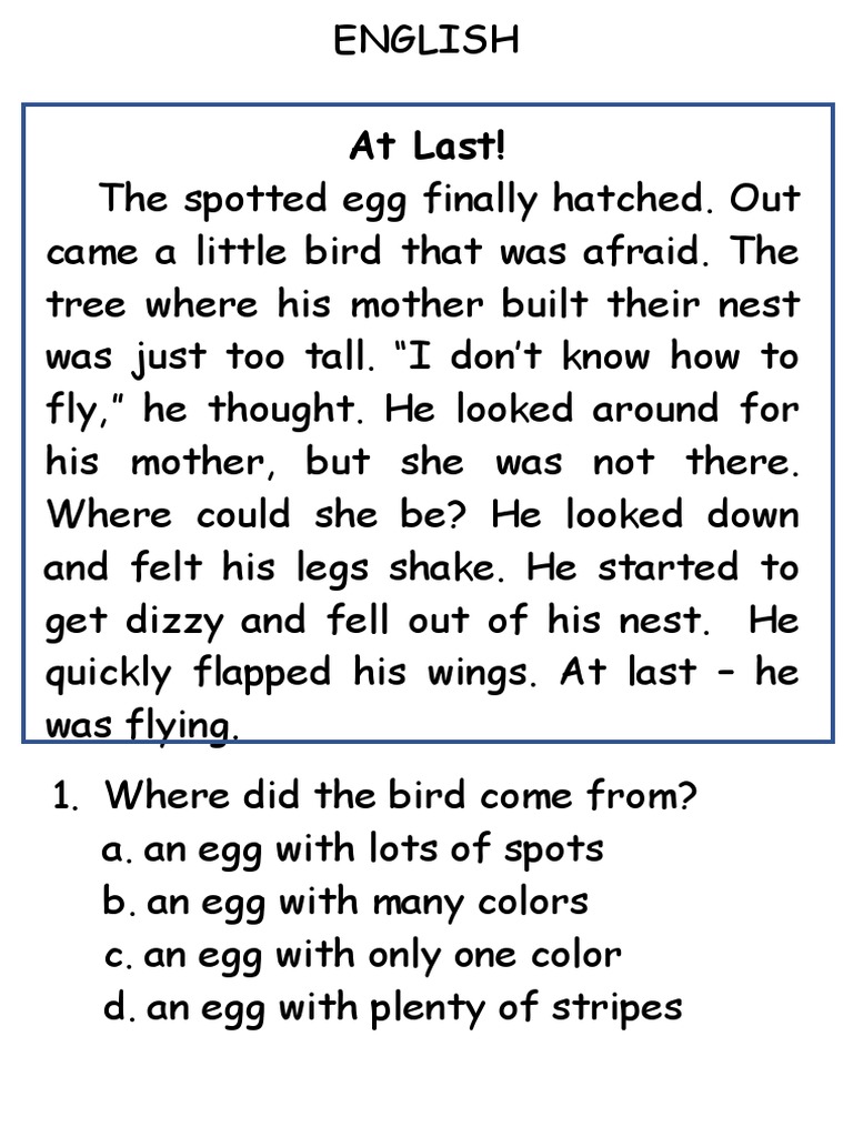 Reading Test | PDF | Birds | Egg