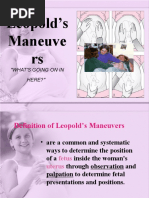 BEmONC and CEmONC | PDF | Maternal Health | Childbirth