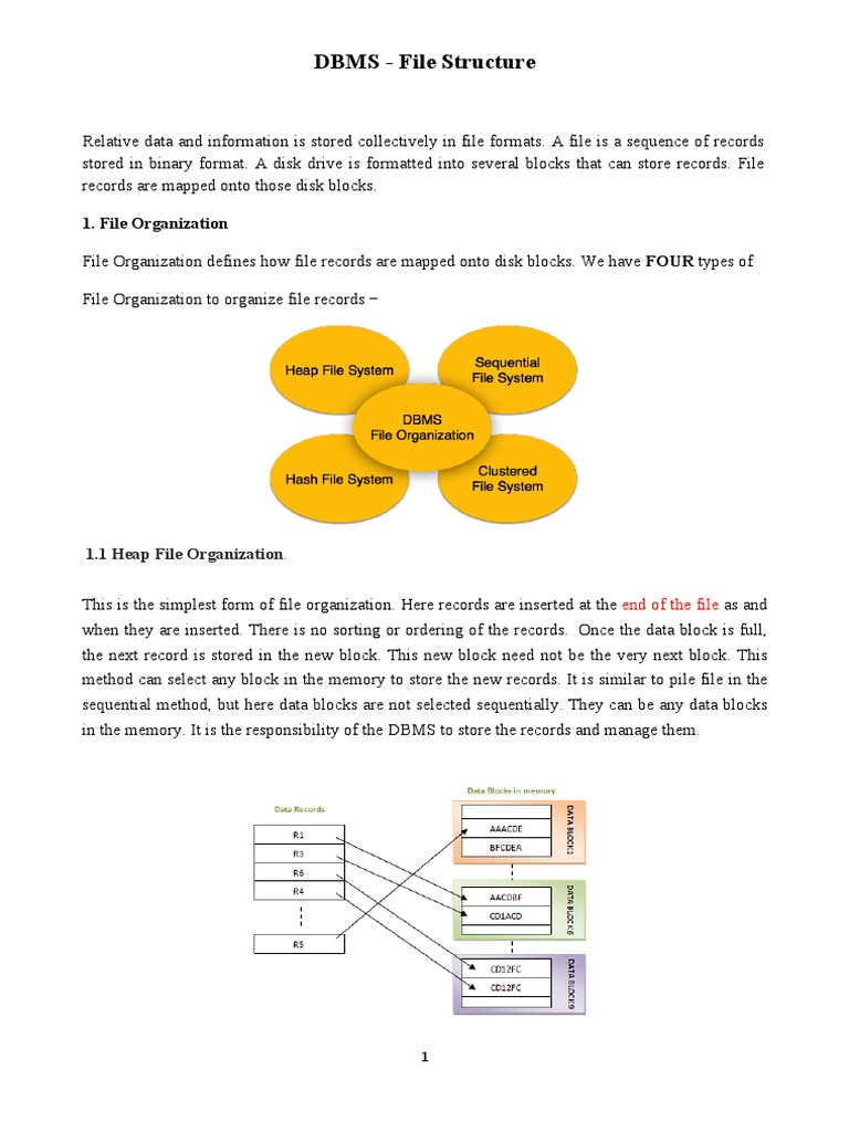 File Structure | PDF | Computer File | Databases