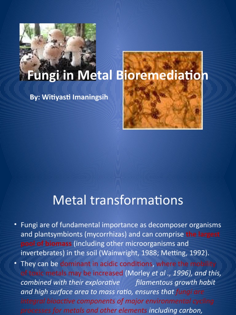 Metal Bio Remediation by Fungi | PDF | Fungus | Soil