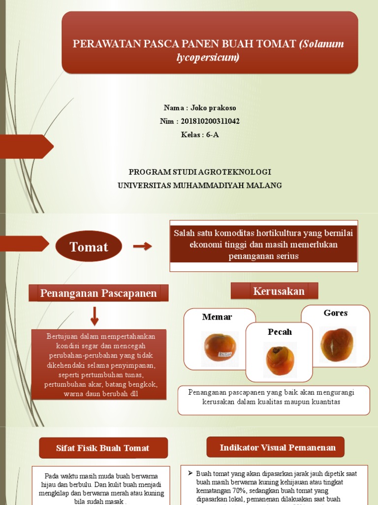 Presentasi Bu Henik | PDF