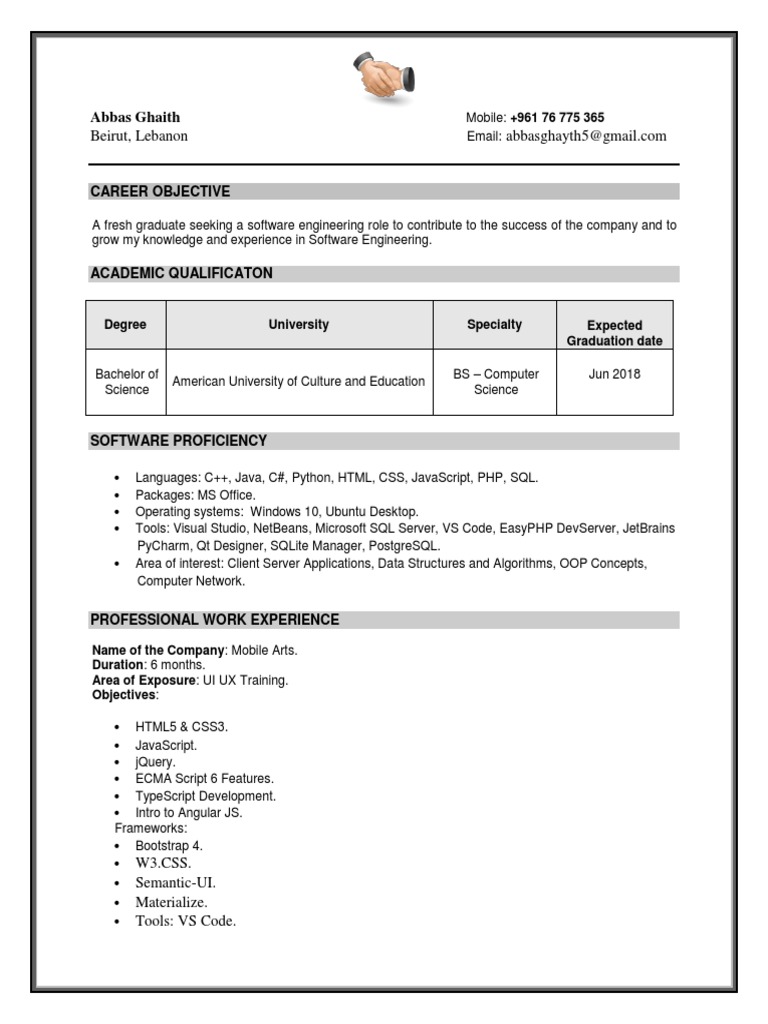 Abbas Ghaith CV | PDF | Java Script | J Query