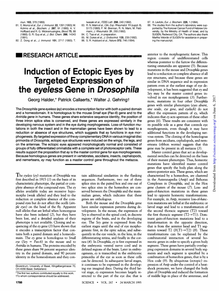 E - Halder, Science, 1995, Pax6 | PDF | Molecular Genetics | Organisms