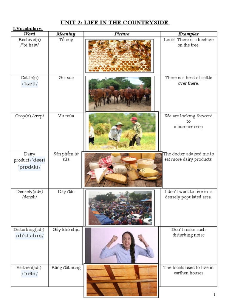 Unit 2: Life in The Countryside: Word Meaning Picture Examples | PDF ...