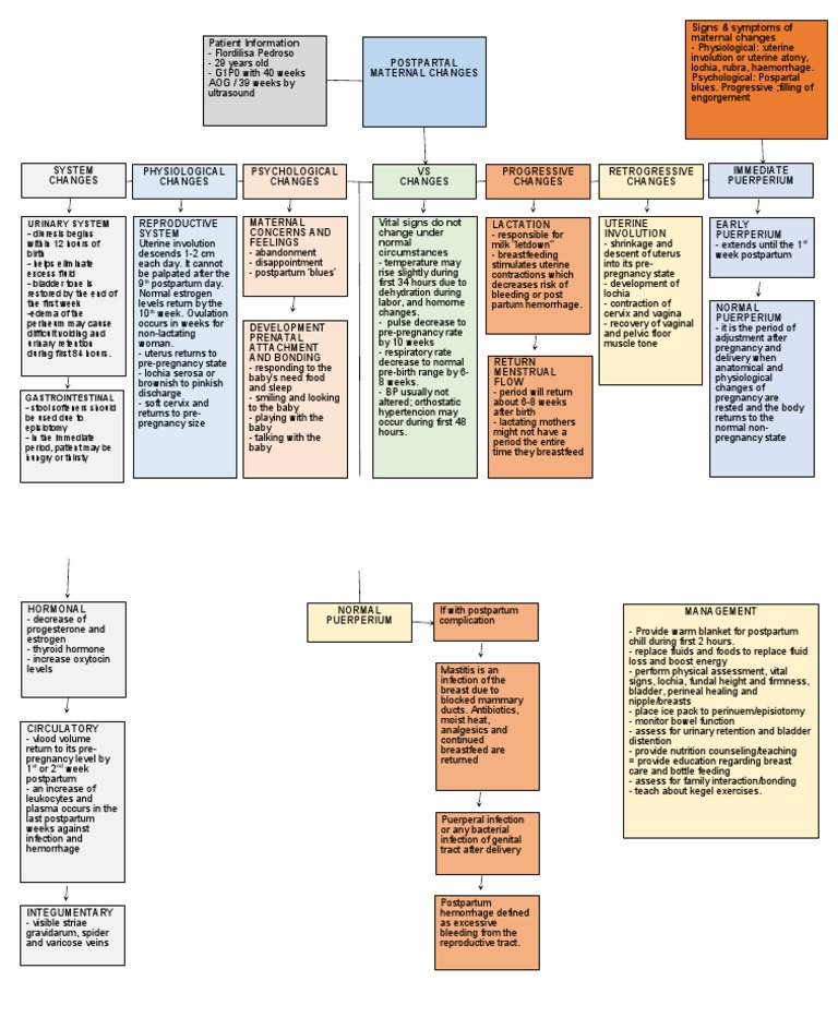 Concept-Map ESCULTOR | PDF | Postpartum Period | Childbirth