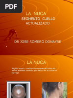 Músculos de La Nuca | PDF | Sistema musculoesquelético | Anatomía humana