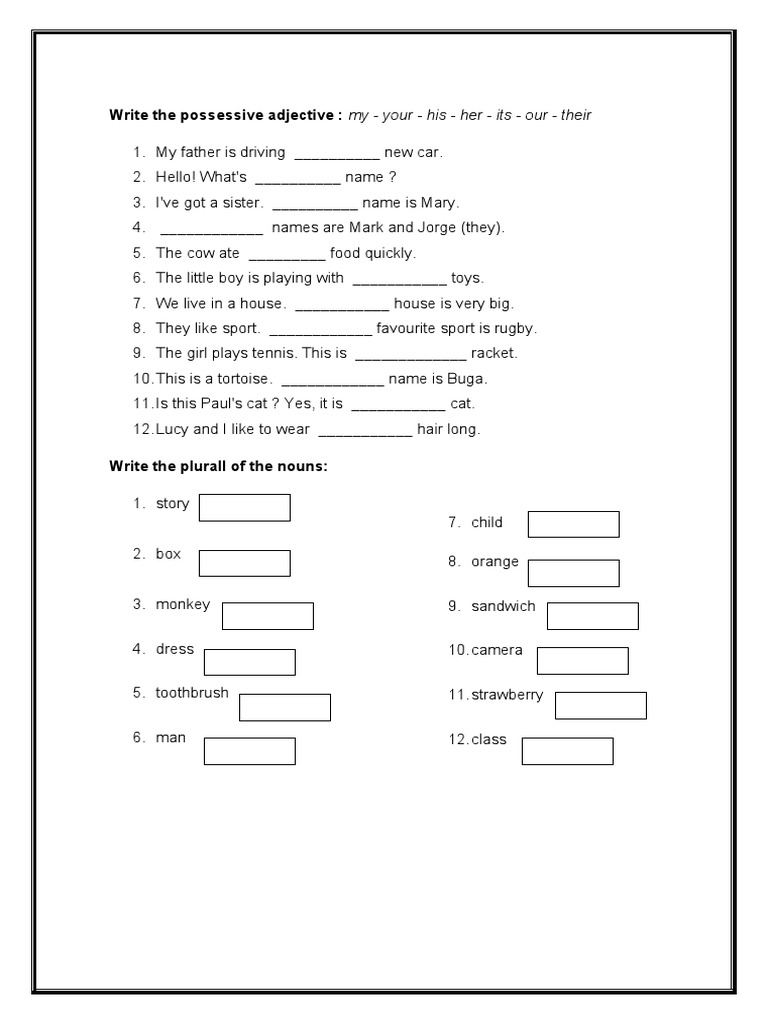 Write The Possessive Adjective | PDF