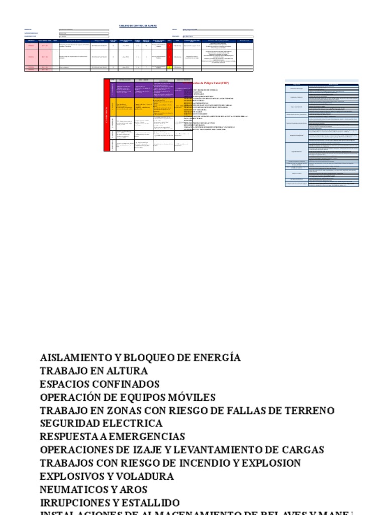 Formato Tablero de Control 2021 Pedrisa | PDF | Naturaleza