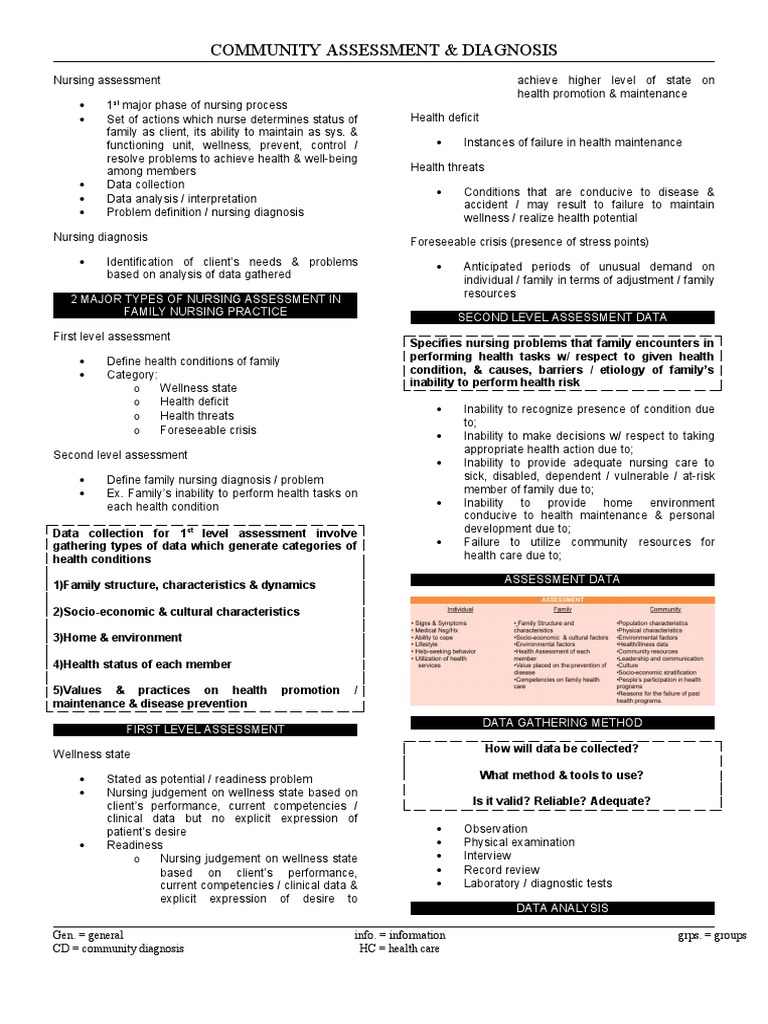 Community Assessment | PDF | Medical Diagnosis | Nursing