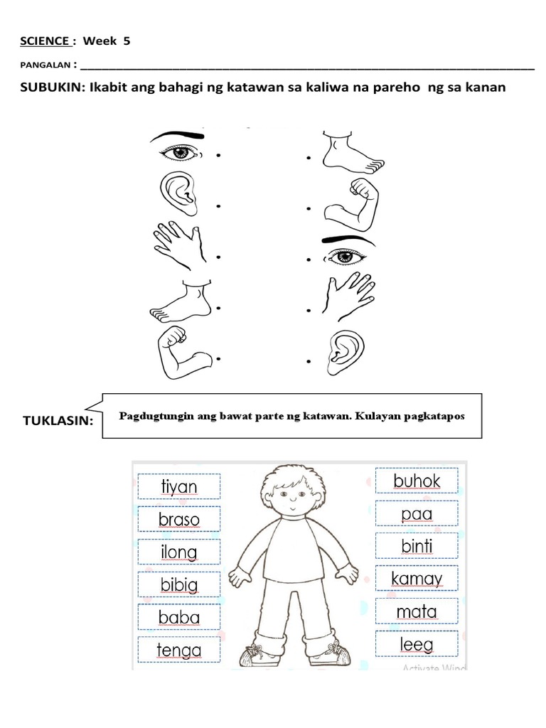 Science Week 5 6 | PDF