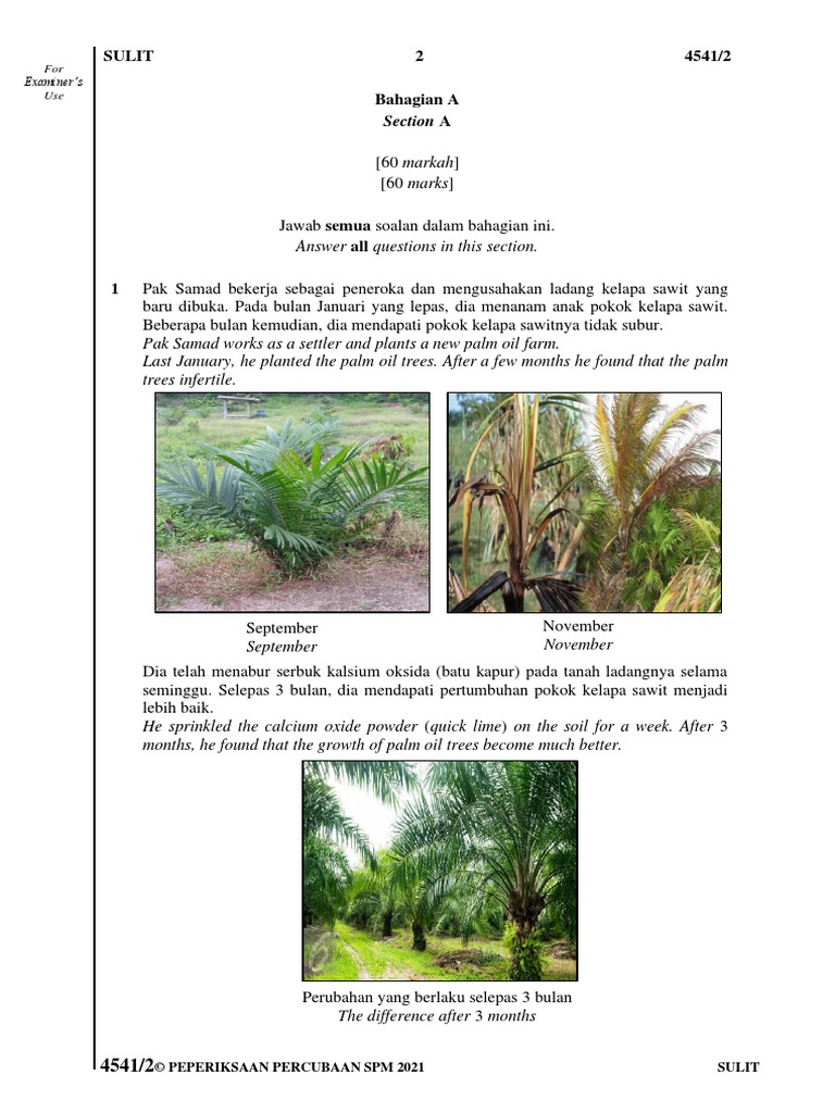 Soalan Modul 2 | PDF