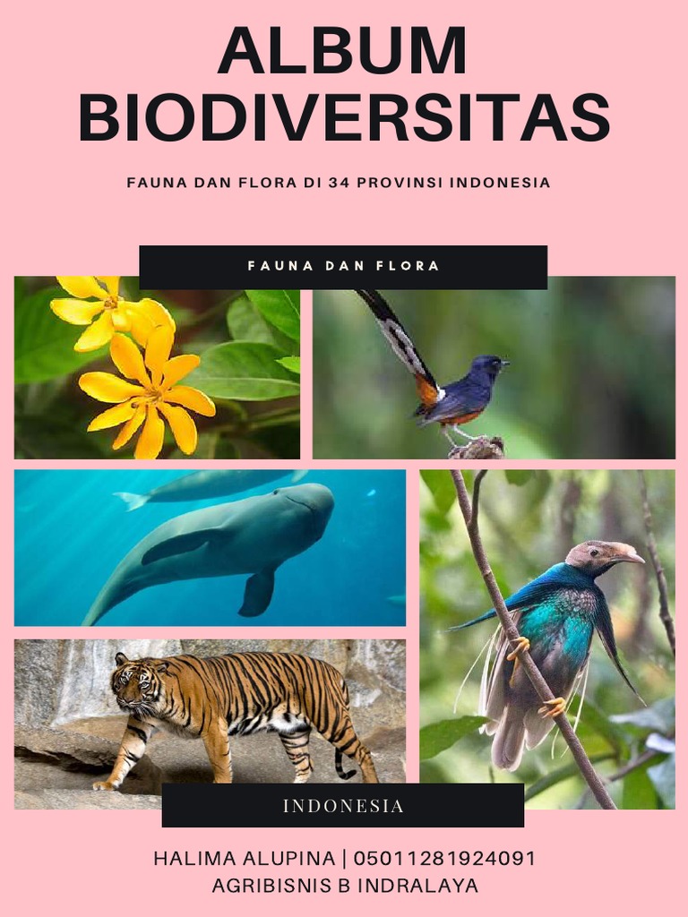 Halima Alupina - 05011281924091 - Agribisnis B Indralaya - Album ...