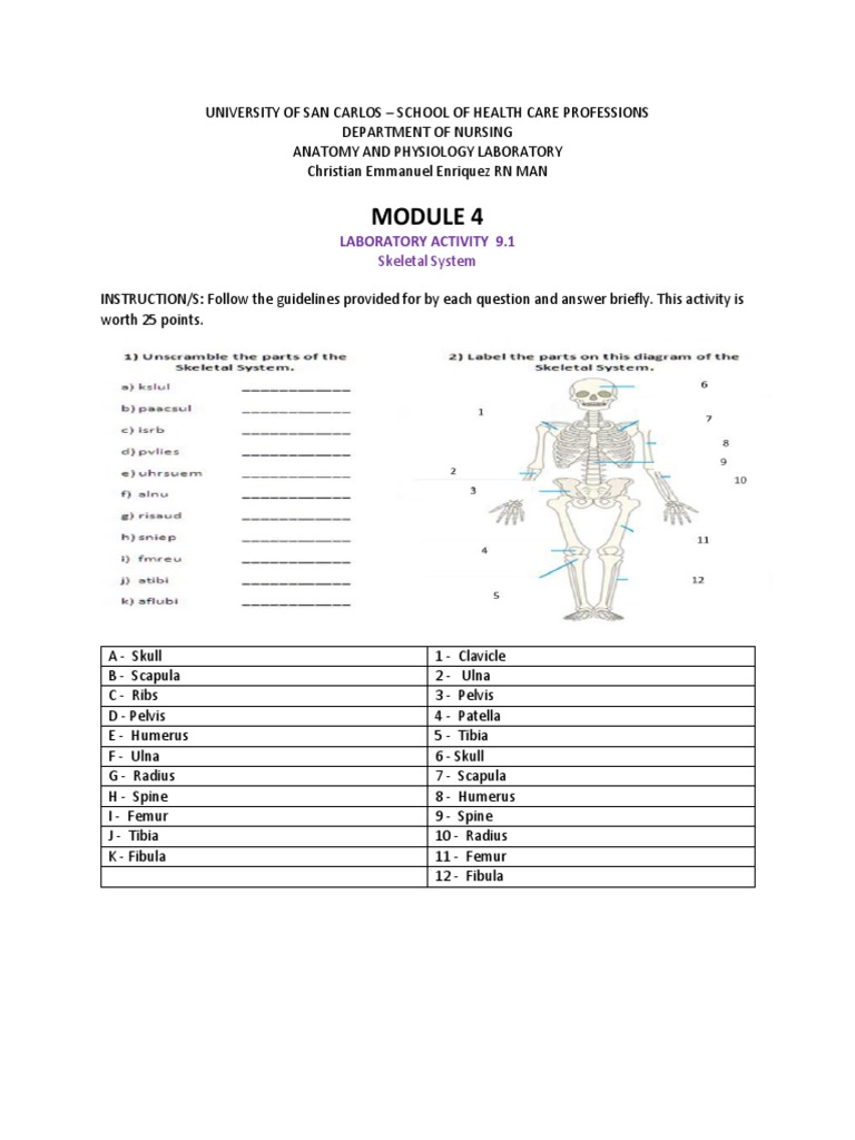 Laboratory Activity 9.1: Skeletal System | PDF | Vertebral Column | Thorax