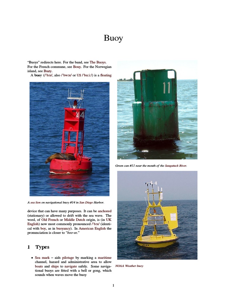 1 Types: The Buoys Bouy Buøy / Bɔɪ/ / Bwɔɪ/ / Bu I / Oating | Download ...