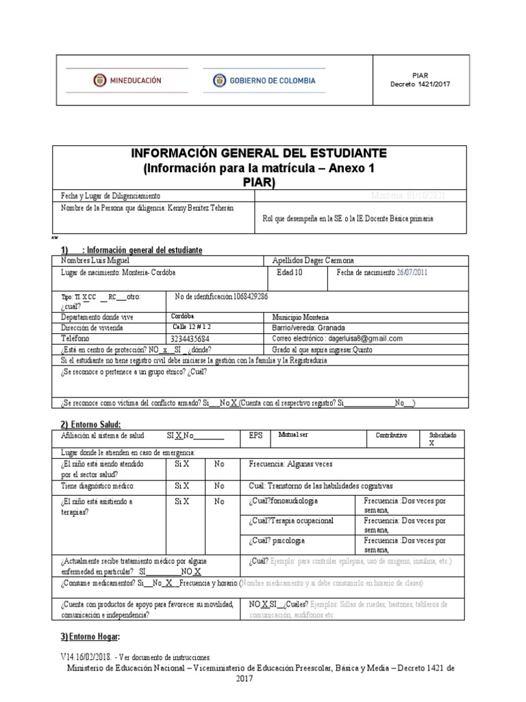 Formatos Piar | PDF | Educación de la primera infancia | Aprendizaje