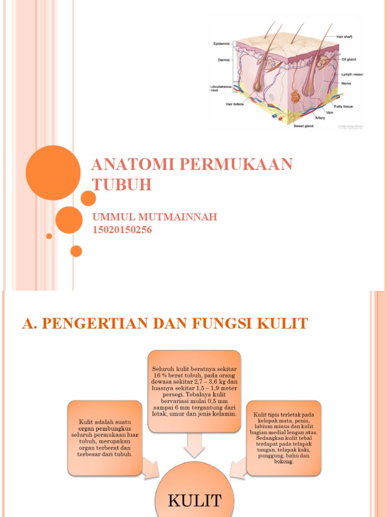 Anatomi dan Fungsi Kulit Manusia | PDF | Kesehatan Holistik