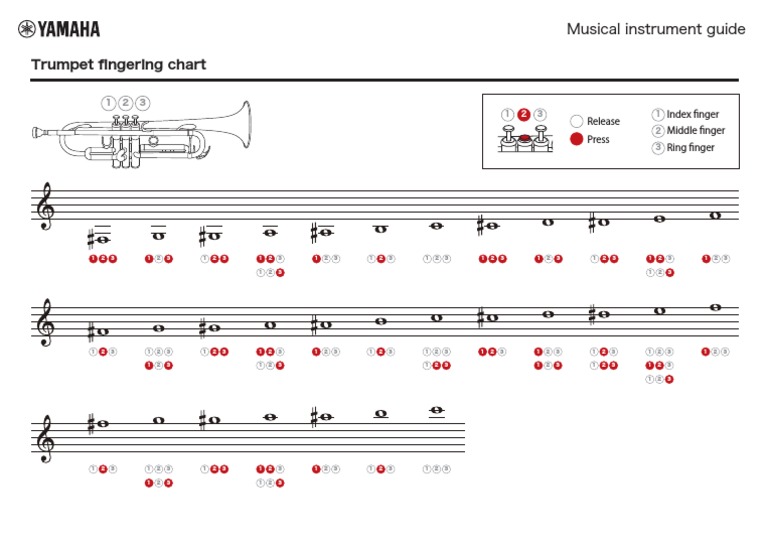 Trumpet Fingering Chart: Musical Instrument Guide | PDF