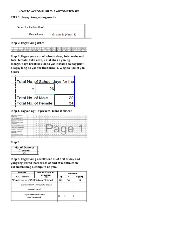 How To Accomplish The Automated SF2 | PDF