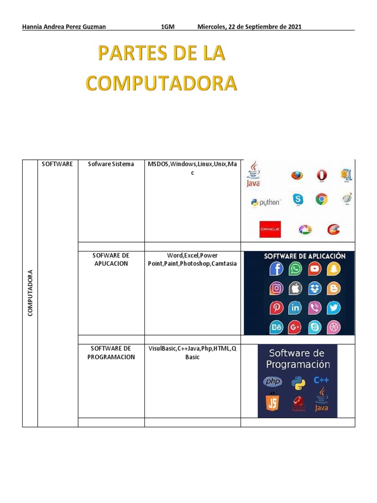 Formato de Computadoras | PDF