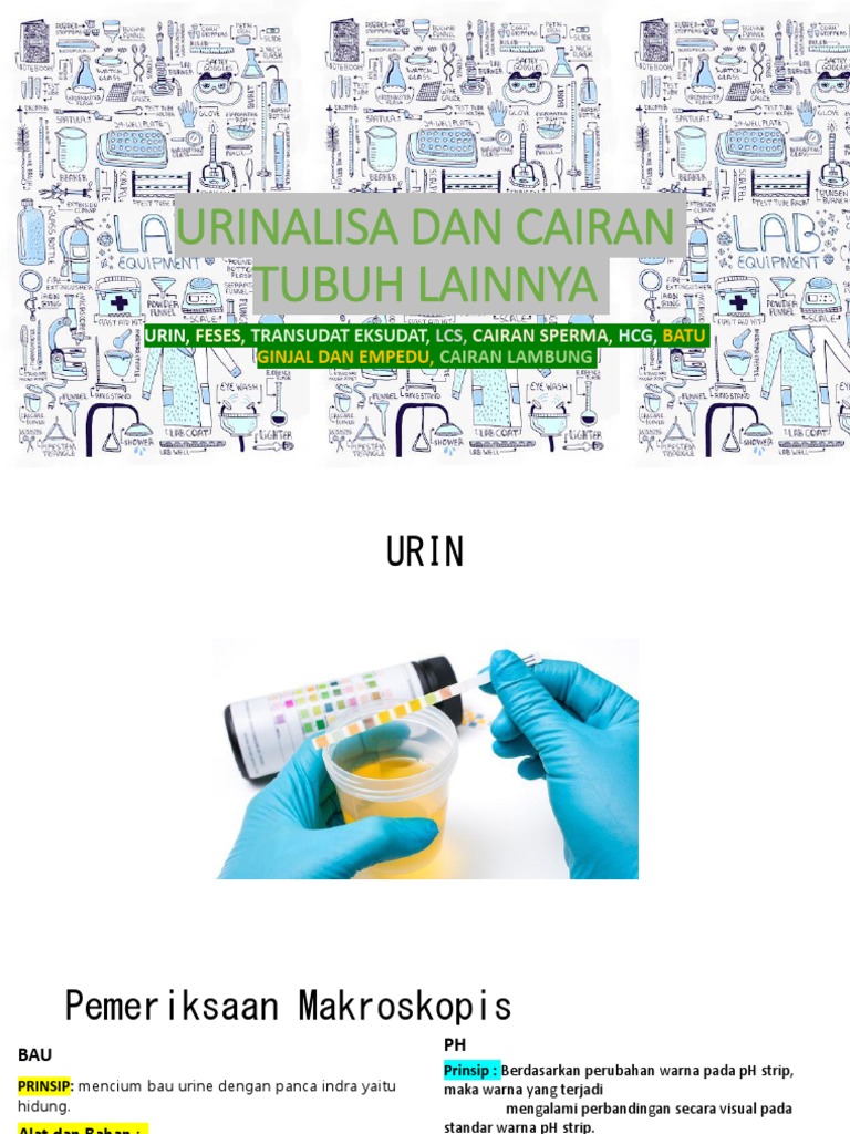 Rangkuman URINALISA DAN CAIRAN TUBUH LAINNYA-1 | PDF