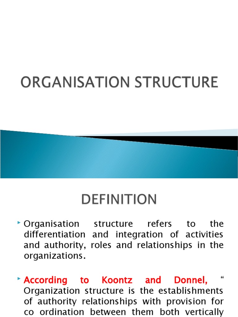 Organisational Structure | PDF | Organizational Structure | Business